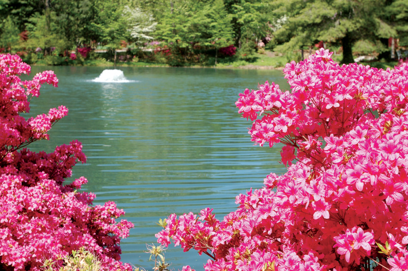 Azalea Path - Evansville Living Magazine